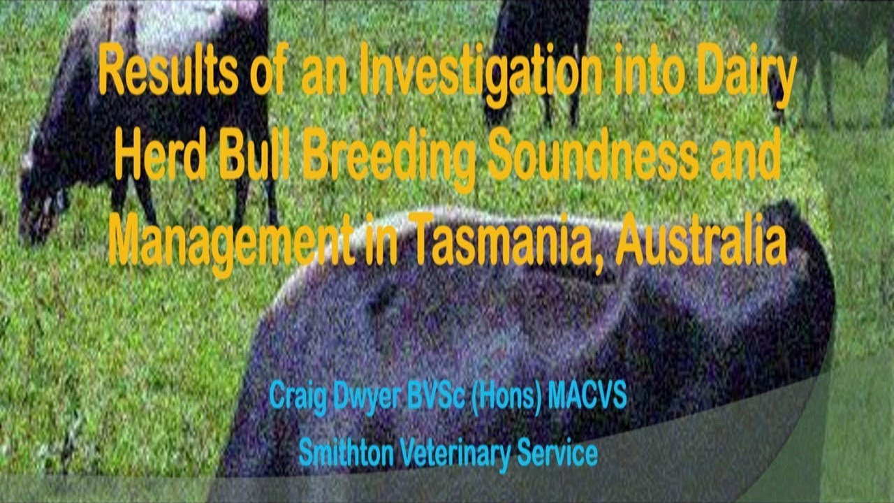 Results of an investigation into Dairy Herd Bull Breeding Soundness and ...
