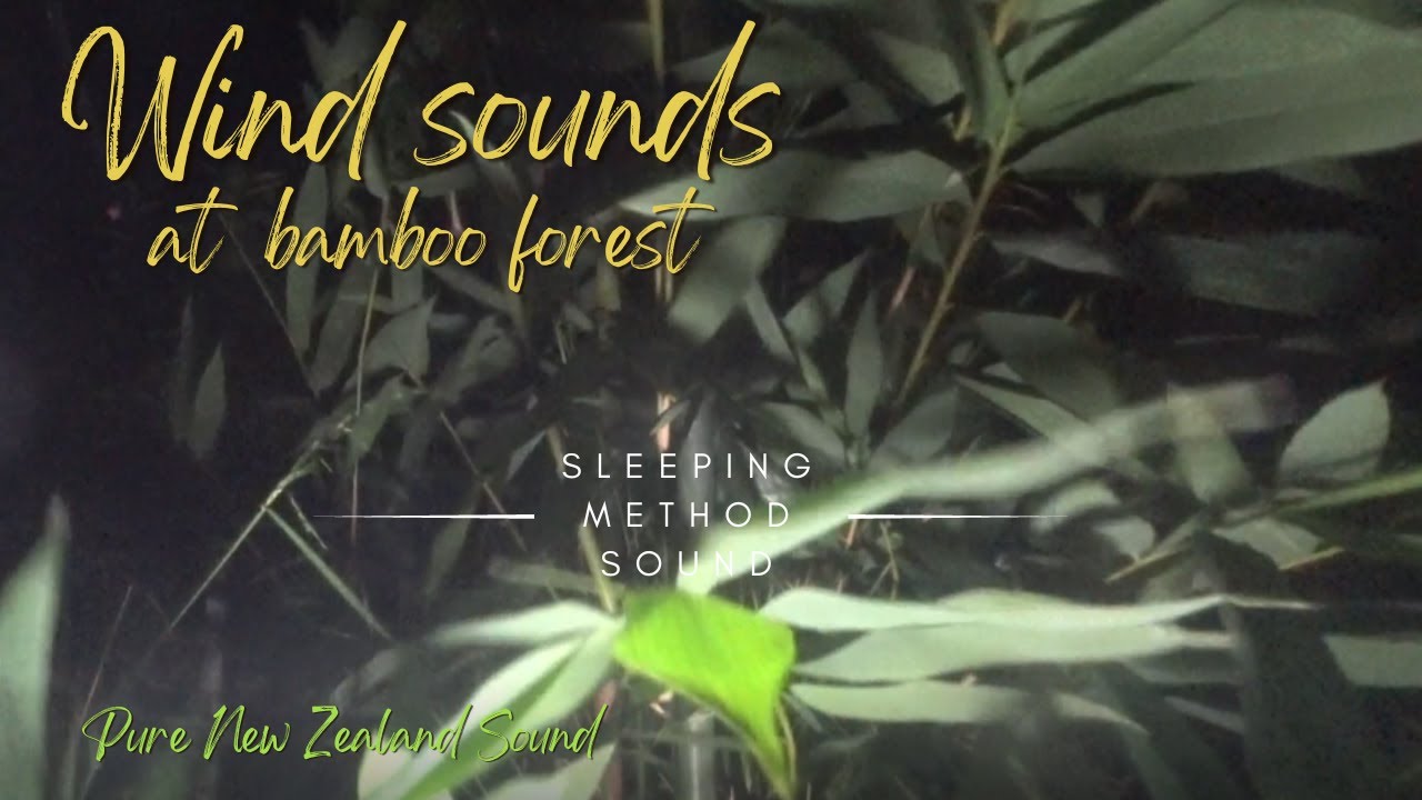 Wind sounds for sleeping. Windy day in bamboo forest. - YouTube
