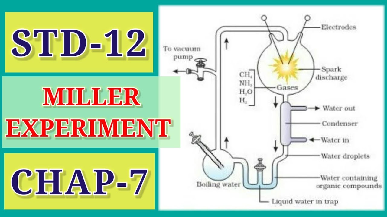 MILLER EXPERIMENT // STD-12 // CHAP-7 - YouTube