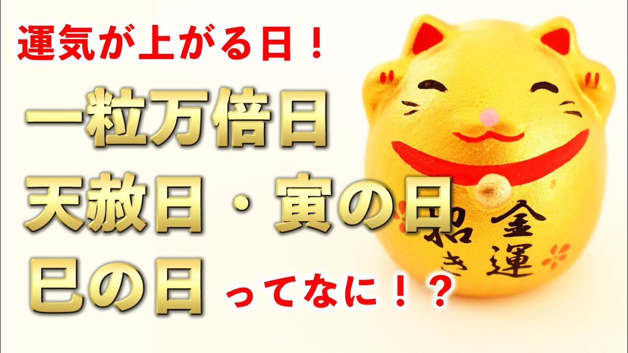 運気が上がる、一粒万倍日、天赦日、寅の日、巳の日ってなに?それぞれの違いを詳しく解説します。 Youtube