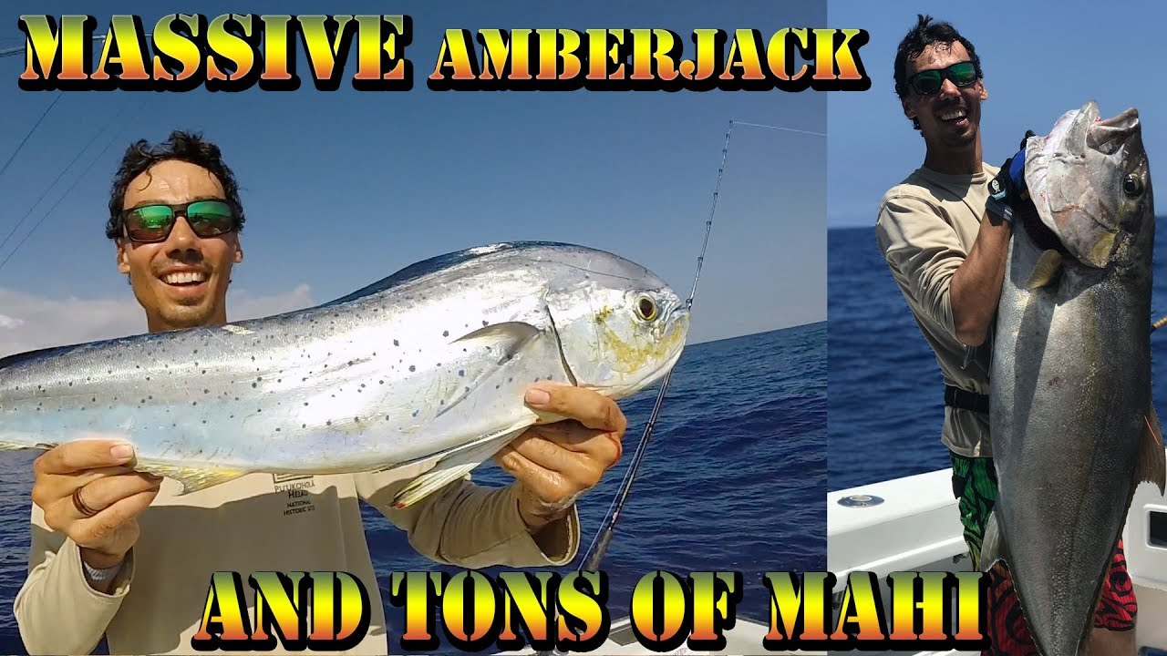 Mahi Mahi, And MASSIVE Kahala (Greater Amberjack) - Fishing From A Boat ...