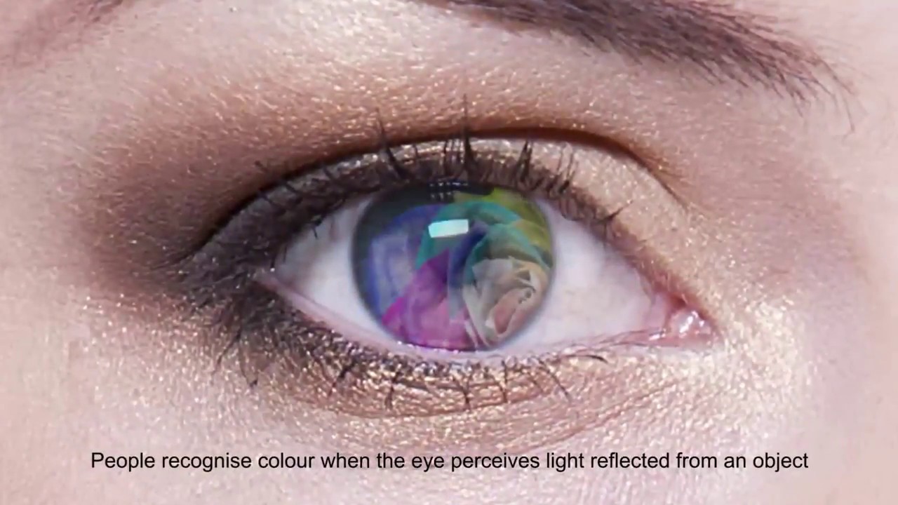 Chroma Optimizer Canon - Technology Explained - YouTube