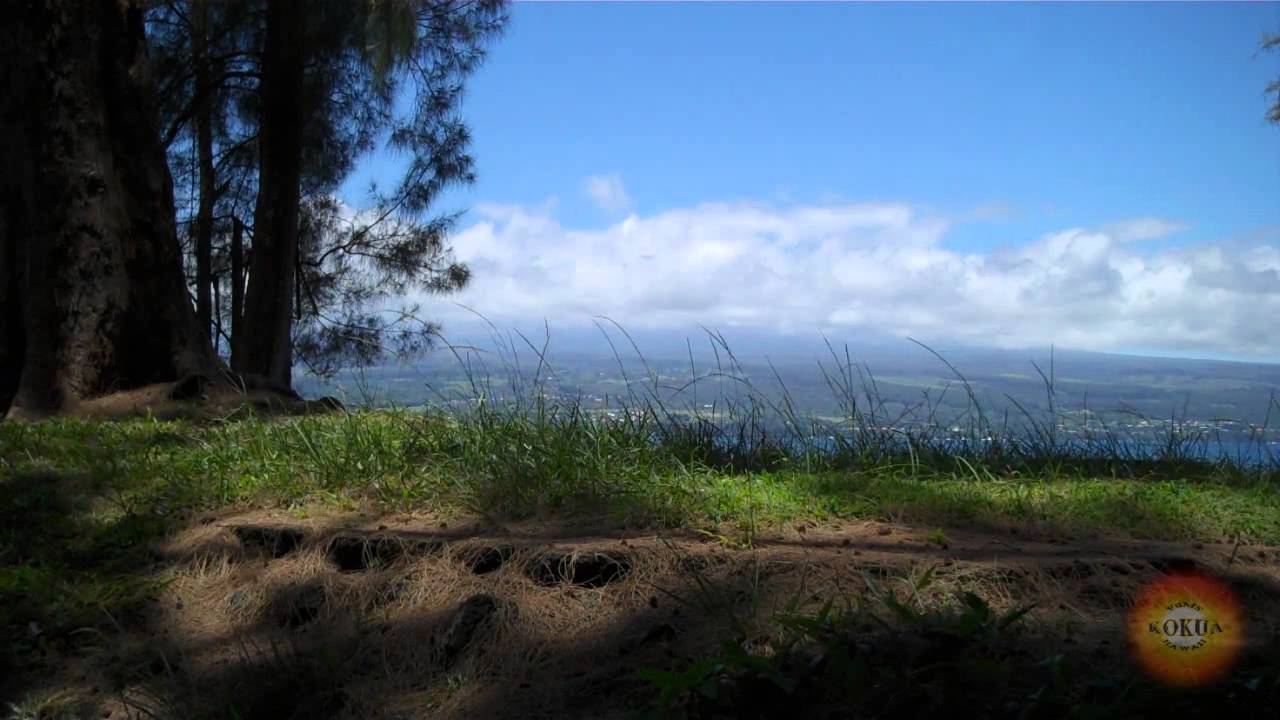 Puhi Bay - Keaukaha Hawaii - Multi scene video - YouTube