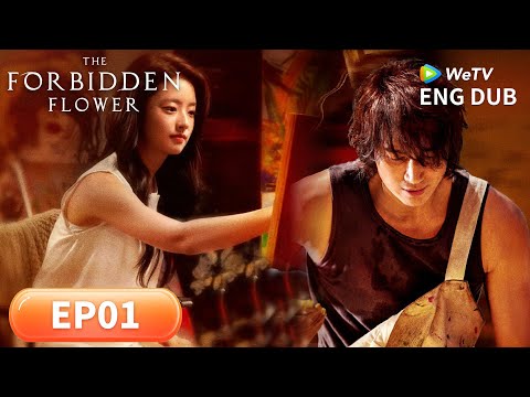 ENG DUB【The Forbidden Flower夏花】EP01 | You Heal Me, I Complete You❤️ | JerryYan, Xu Ruohan | WeTV