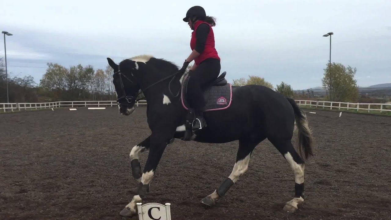 Frankie - prelim 14 - YouTube