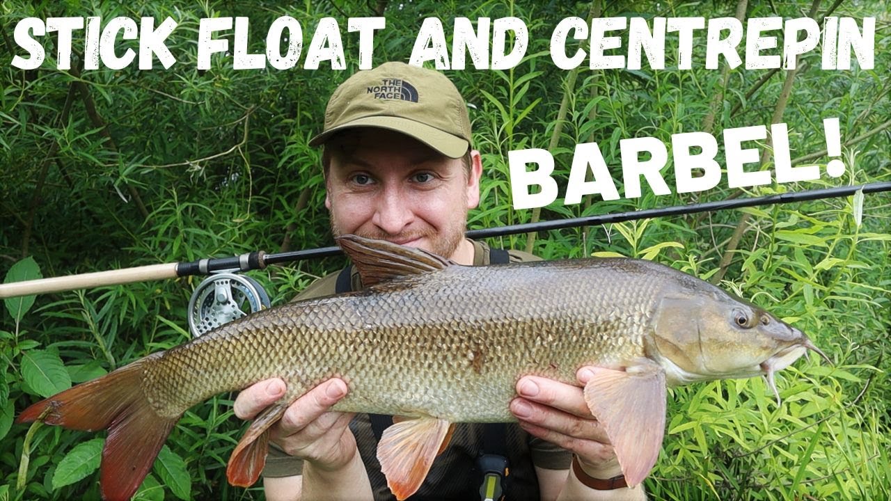 Catching Barbel on the Float and Centrpin - YouTube