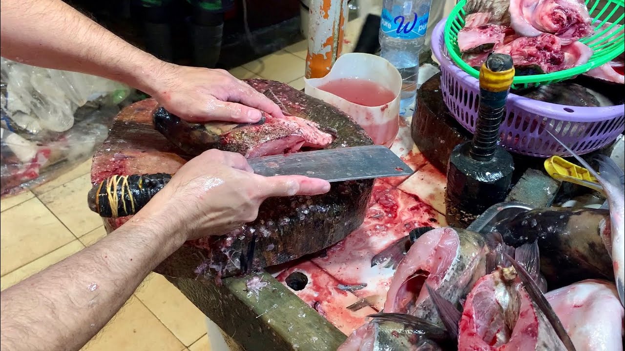 Cutting a BIG FISH's Head - YouTube