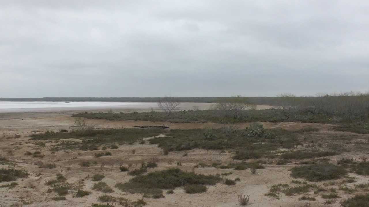 La Sal del Rey Lower Rio Grande Valley NWR 2012-01-22 (a Texas salt ...