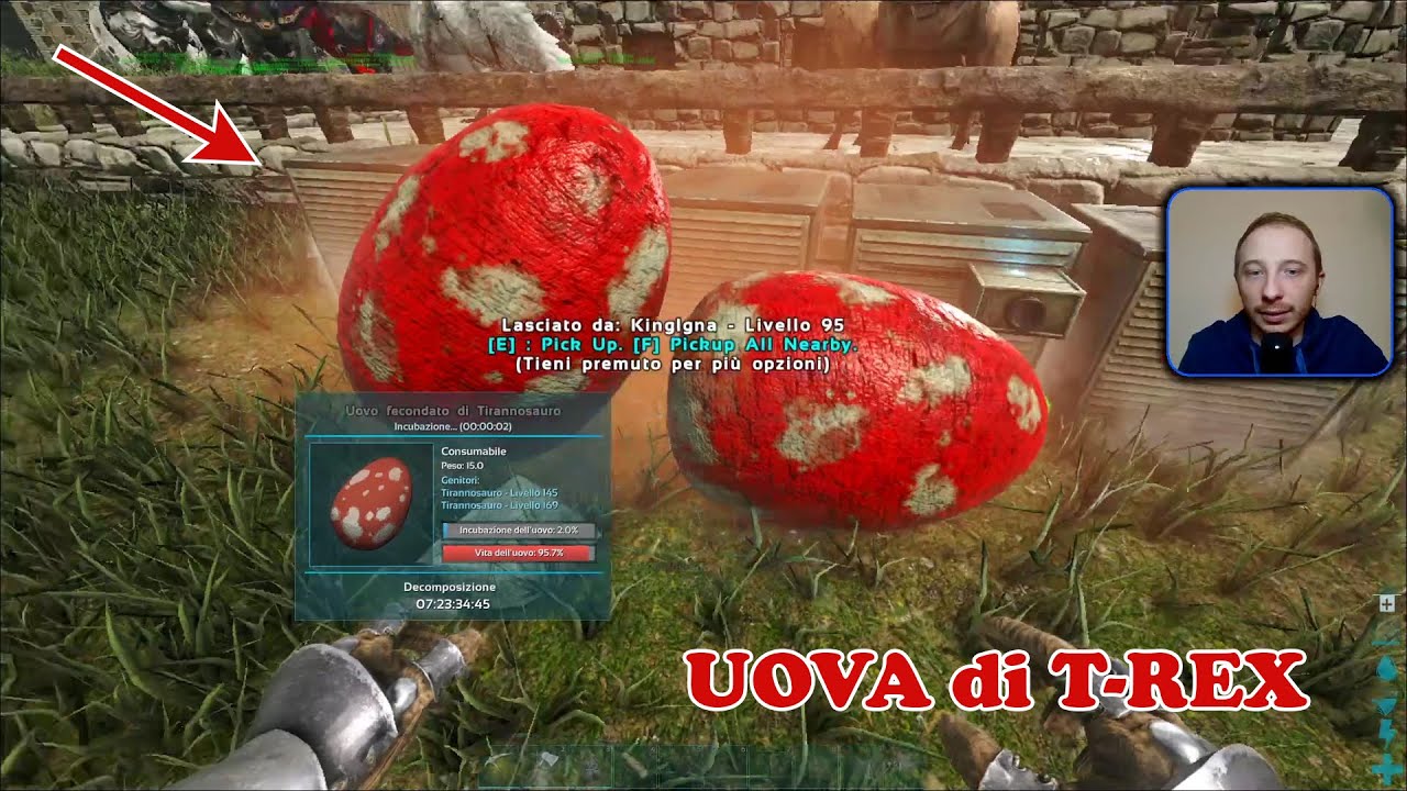 Piccoli T REX Crescono 🏹 ~ DLC VALGUERO ~ ARK #18 ~ 🇮🇹 - YouTube