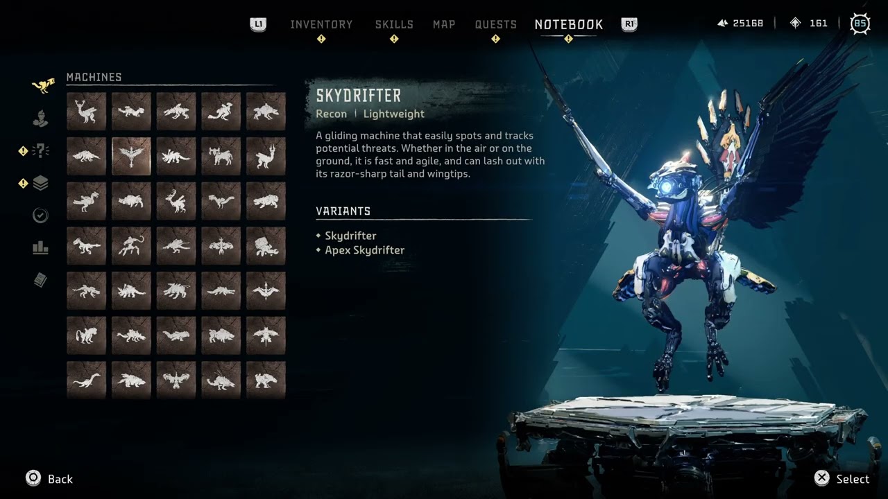 How to Farm Echo Shells - YouTube