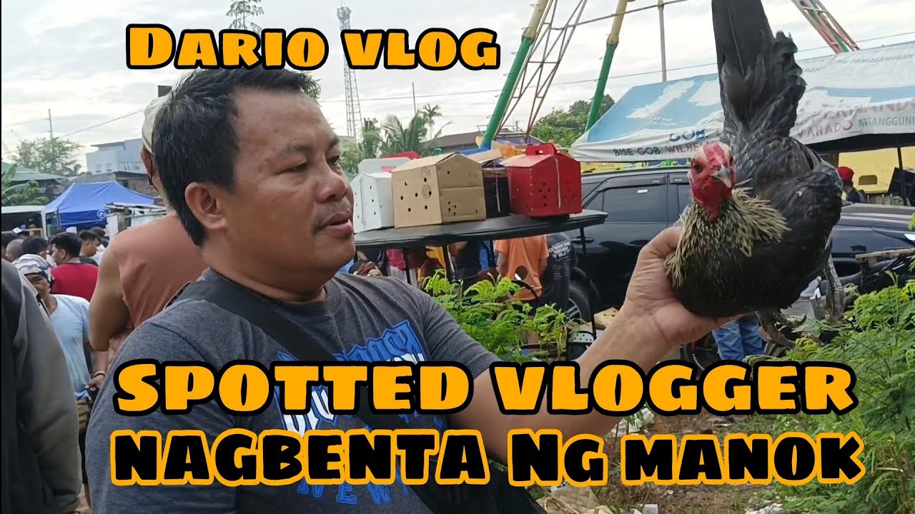 vlogger na si Dario vlog na spotan ko sa bocaue Bulacan nagbebenta Ng manok Ganda Hennie 1800 ...
