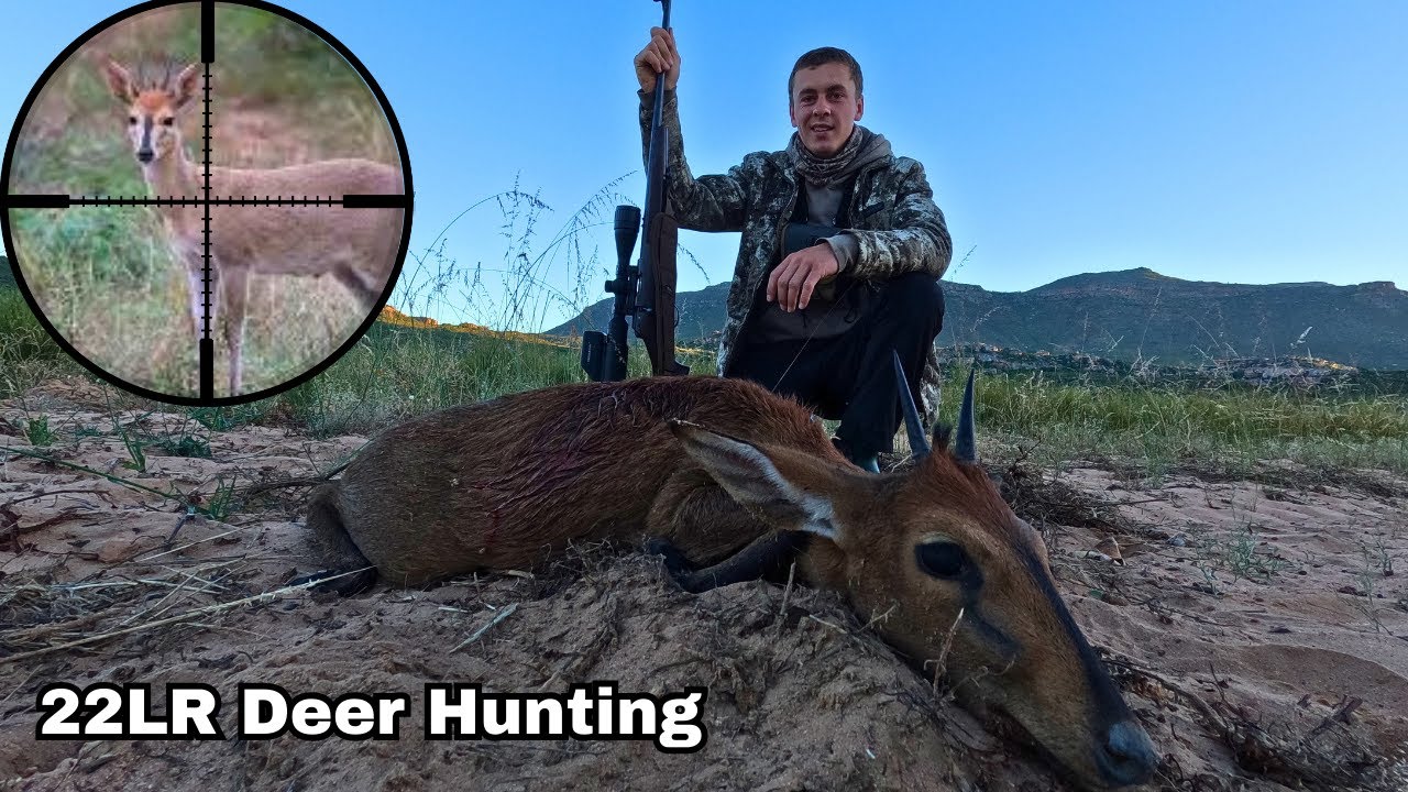Deer Hunting with a 22LR! (Heart Shot!) - YouTube