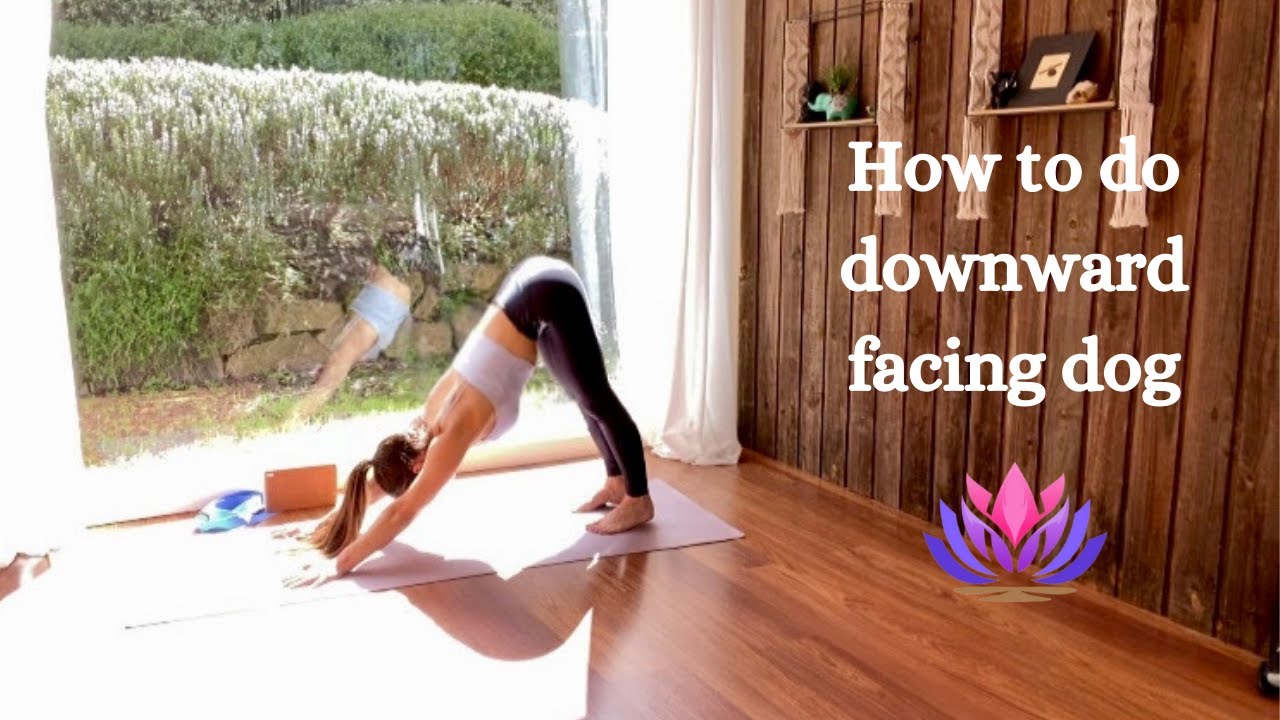How to do Downward Facing Dog Pose - Instructions and Practice Time ...