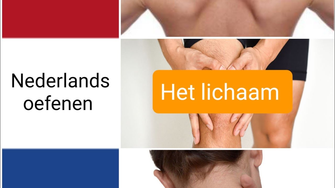 Het lichaam - (body parts) - woordenschat - Nederlands leren - NT2 ...