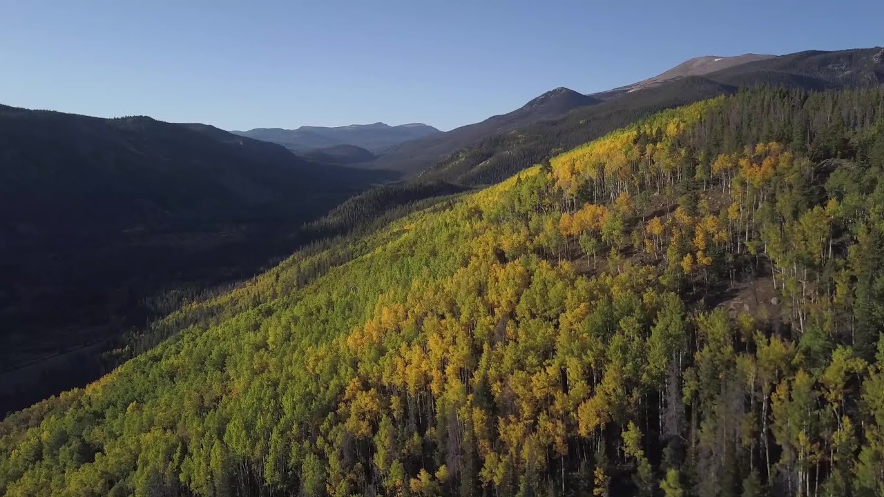 Explosion of Colorado Fall Colors - Laramie River - YouTube