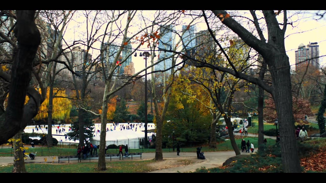 Moving Shot of Central Park Scene Stock Video Footage - YouTube