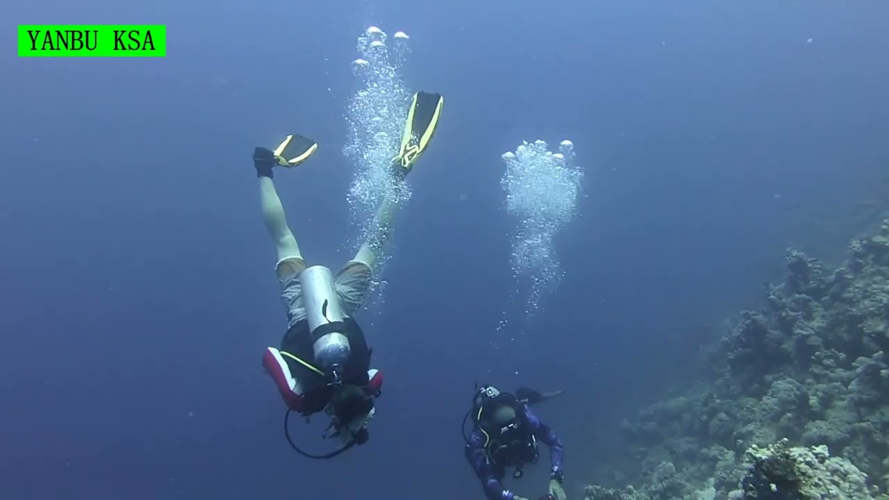 seven sisters dive sites yanbu saudia arabia dive trip organized by ...
