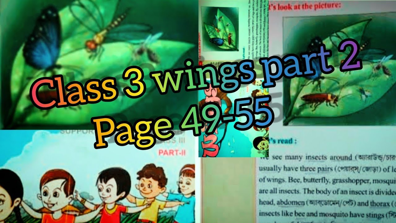 wings class 3 part 2 page 49-55। lesson 3। All activities solved। - YouTube