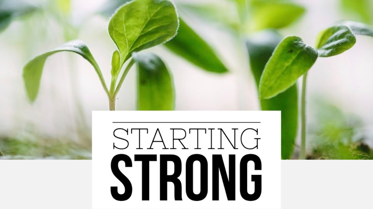 February 11th, Evangelism Strong, Rev. Dr. Peter Kim - YouTube