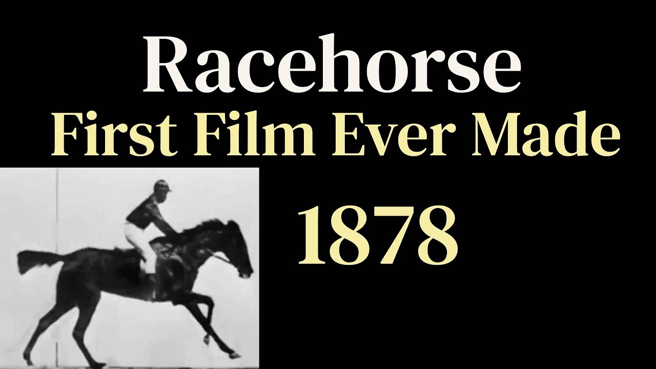 Racehorse (First Film Ever Made) 1878 - YouTube