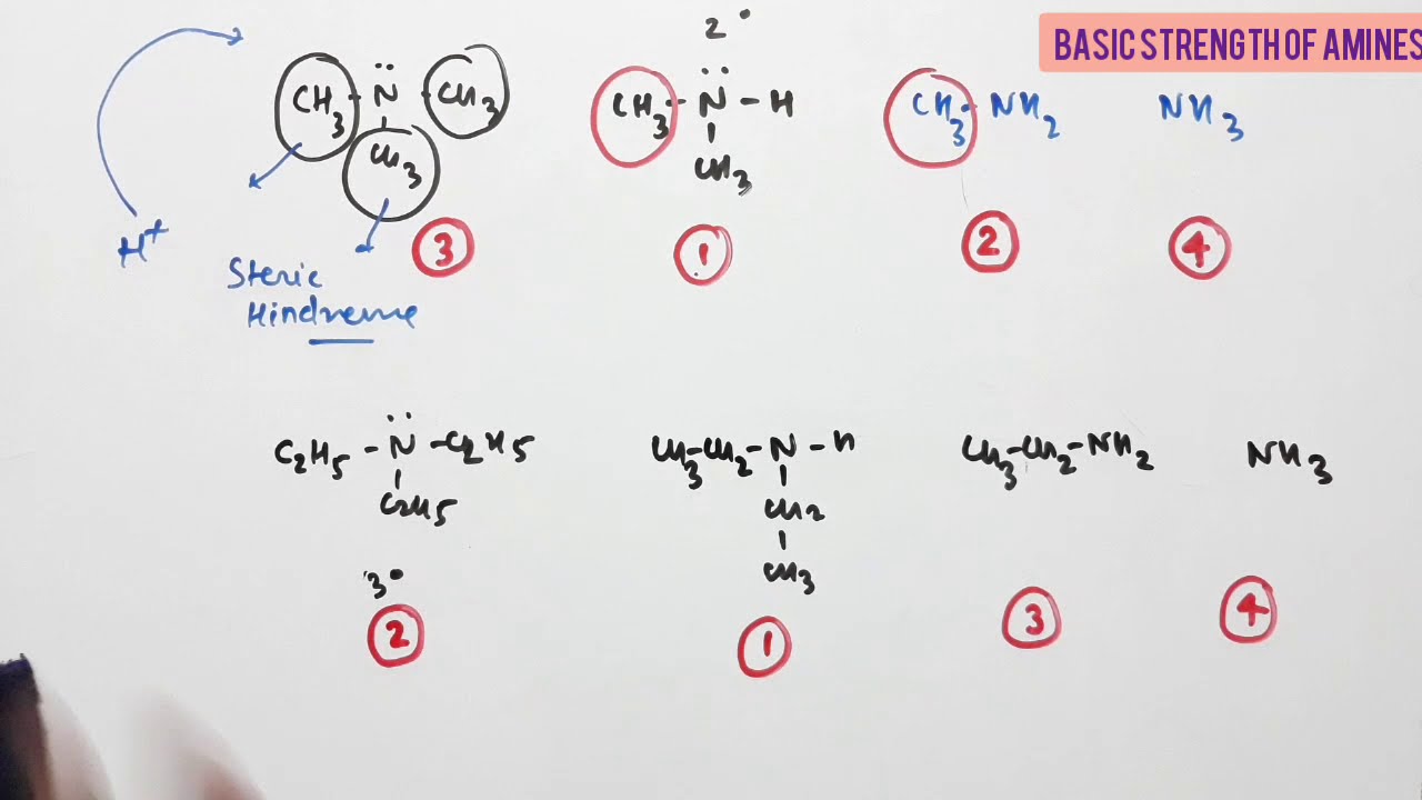 Basicity of amines - YouTube