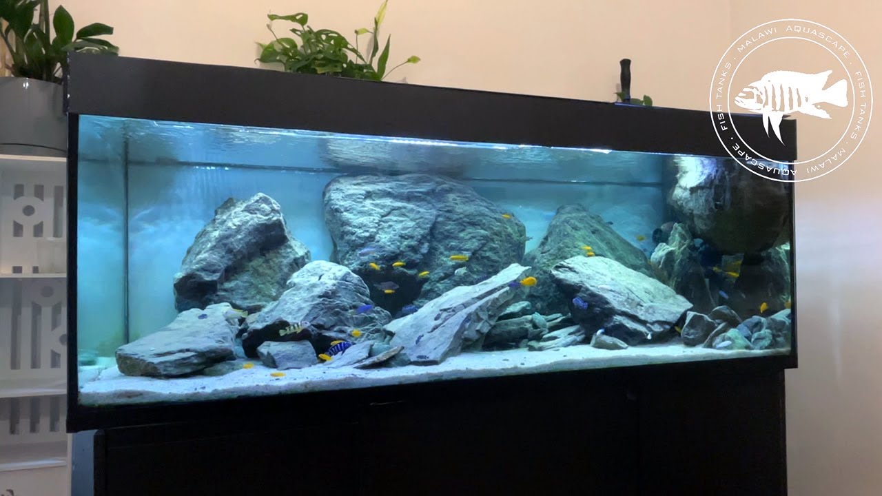 Mbuna Aquarium Setup | Inspired by diving in the Nkhata Bay - YouTube