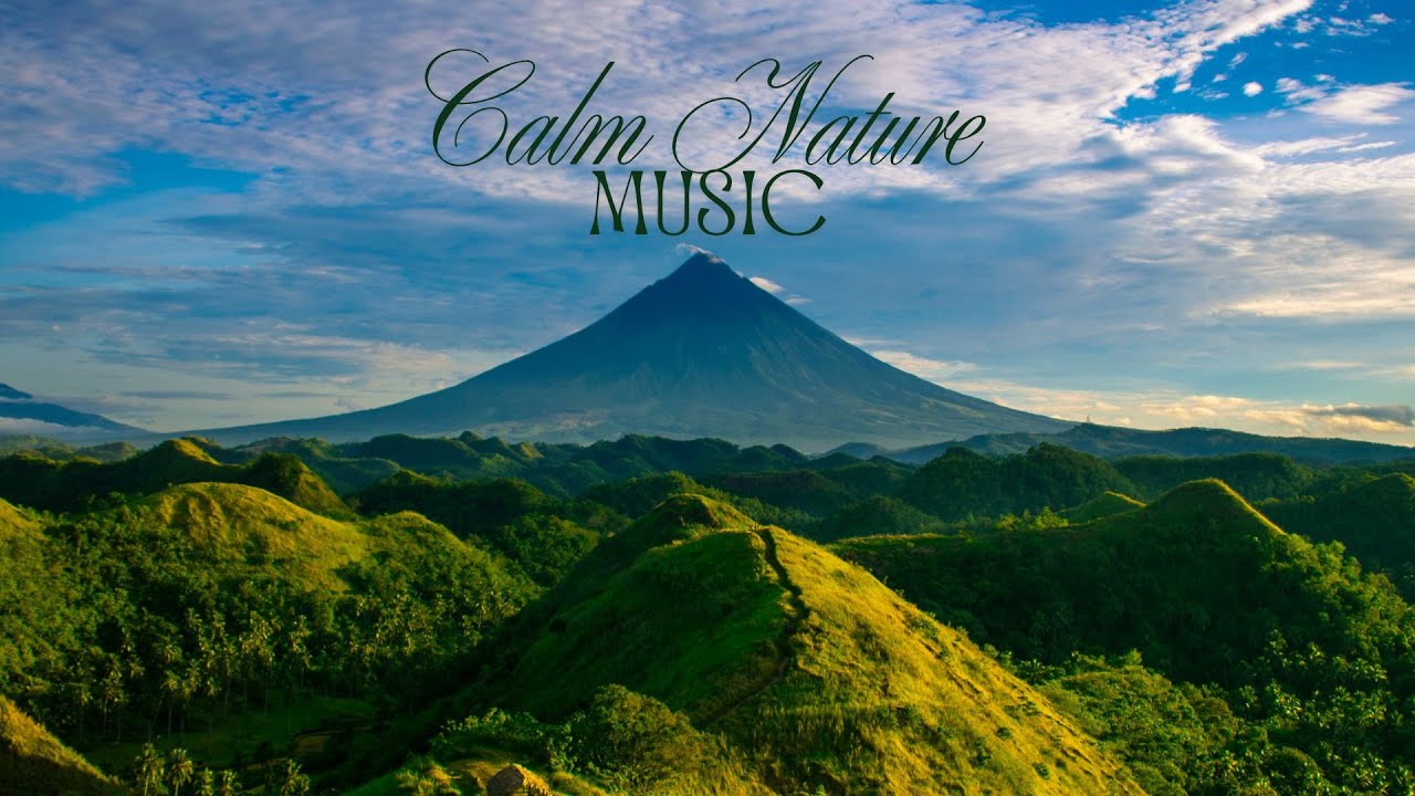Healing Nature Sounds & Relaxing Music 🌲 With Piano🎵 - YouTube