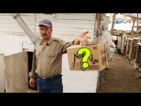 Kutuda Ne Var ? Babam Erzurum'a Götürüyor !