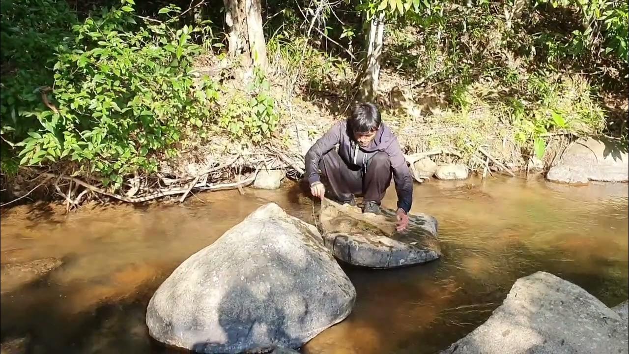 hnub no txiv nruas wb mus khwb ntses nawb 16/1/2023 - YouTube