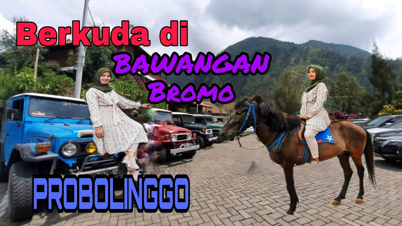 KULINER DAN RESORT DENGAN VIEW TERBAIK DI KAKI GUNUNG BAWANGAN BROMO ...