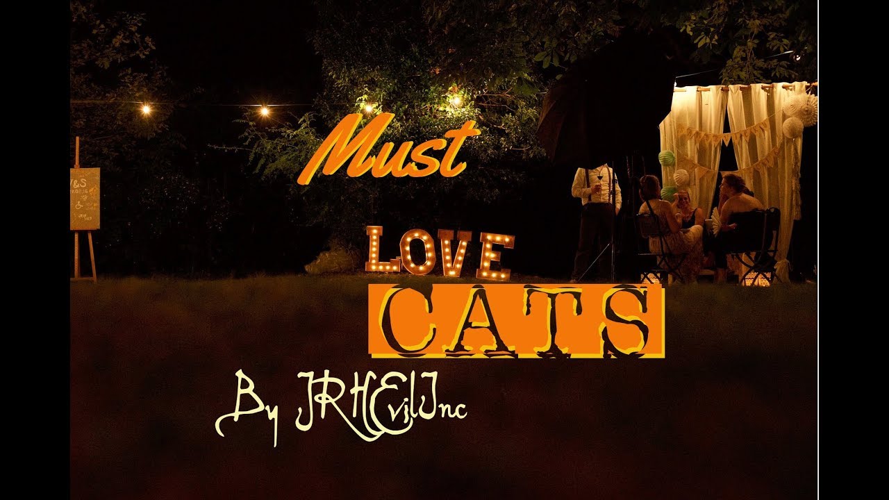 Must love cats - YouTube