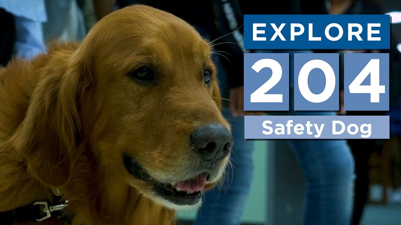 Explore 204: School Safety Dog - YouTube