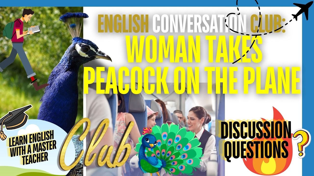 Hot Conversation Topics for ESL for Beginners / Woman Tries to Board ...