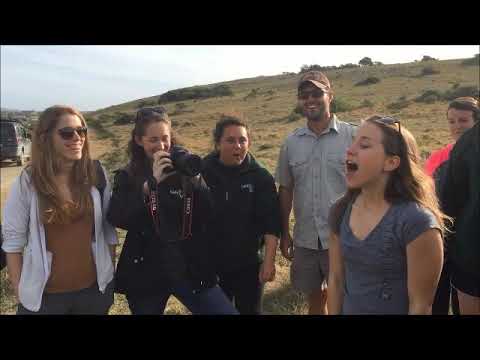 Poo Spitting Competition - YouTube