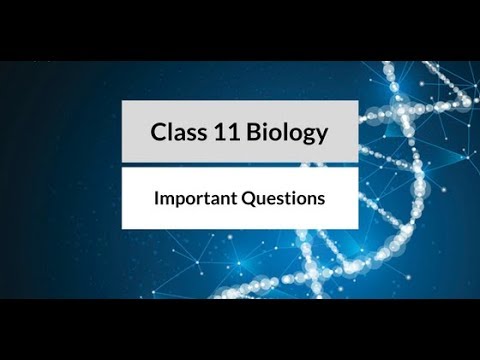 Important Question Of Biology Class 11 || NEB Exam 2076 || By Dhiraj ...