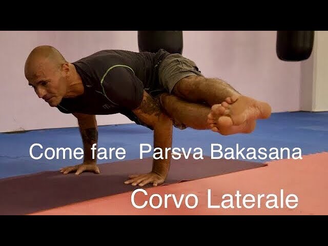 Posizione Del Corvo Laterale