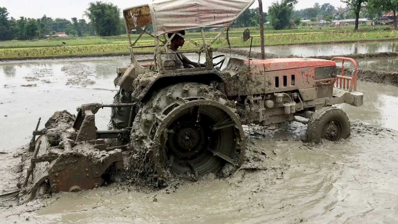 Tractor Puddling in My Land for Rice Farming Using Rotavator.-Tractor ...