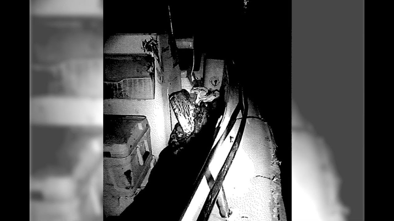 Rescuer describes Paul Murdaugh's boat after accident: "It came apart ...