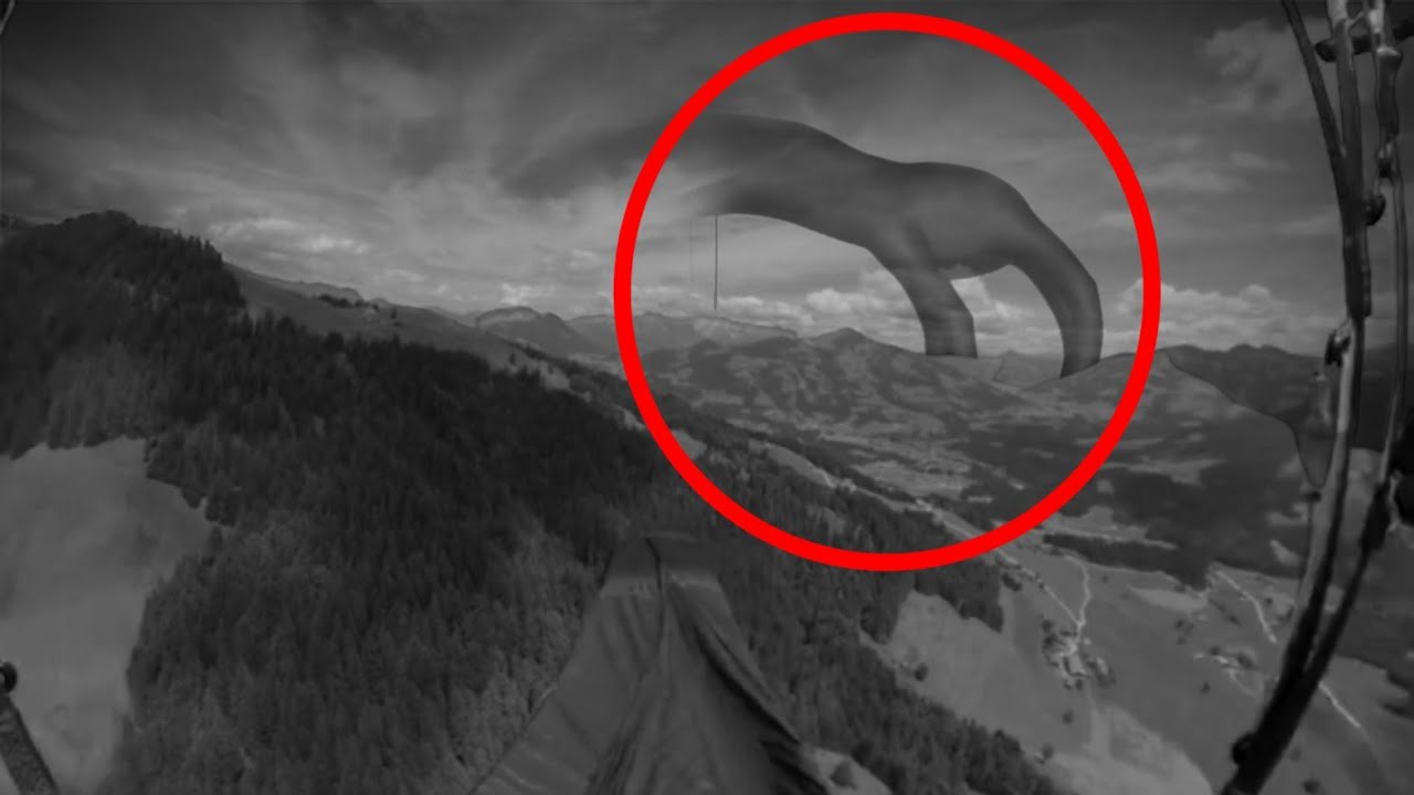 Day 17 Creature CAUGHT ON CAMERA WHEN I WAS GLIDING - YouTube