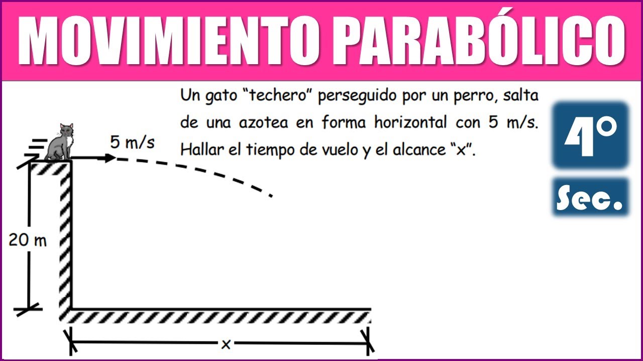 Un gato “techero” perseguido por un perro, salta de una azotea en forma ...