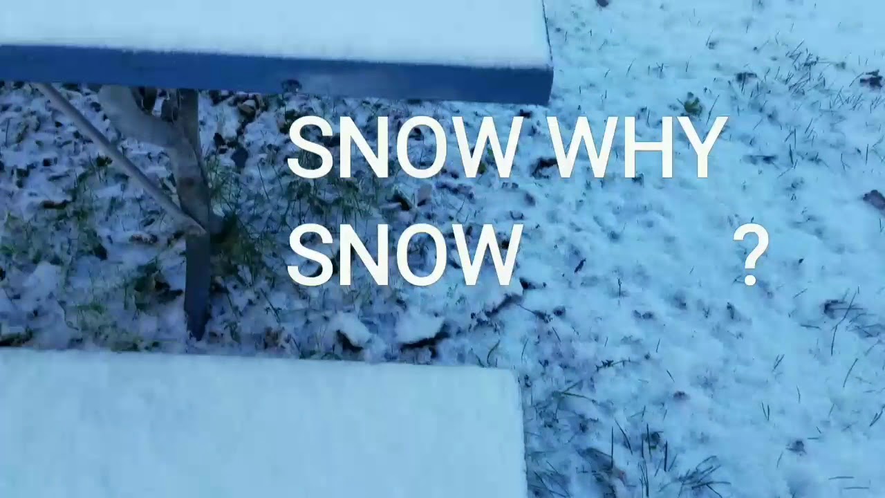 SNOW!!!!!! WTF - YouTube