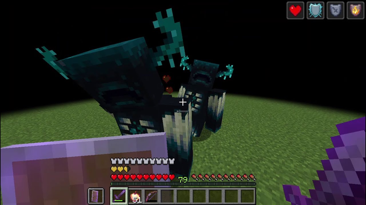 Two Warden vs Steve Who will win?? - YouTube