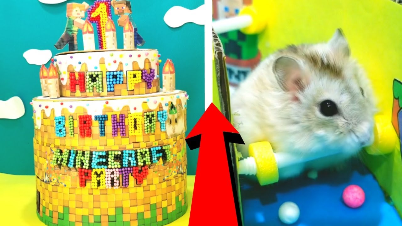 🎂 Birthday Cake | HAMSTER MAZE 🎂 Funny hamster videos - YouTube