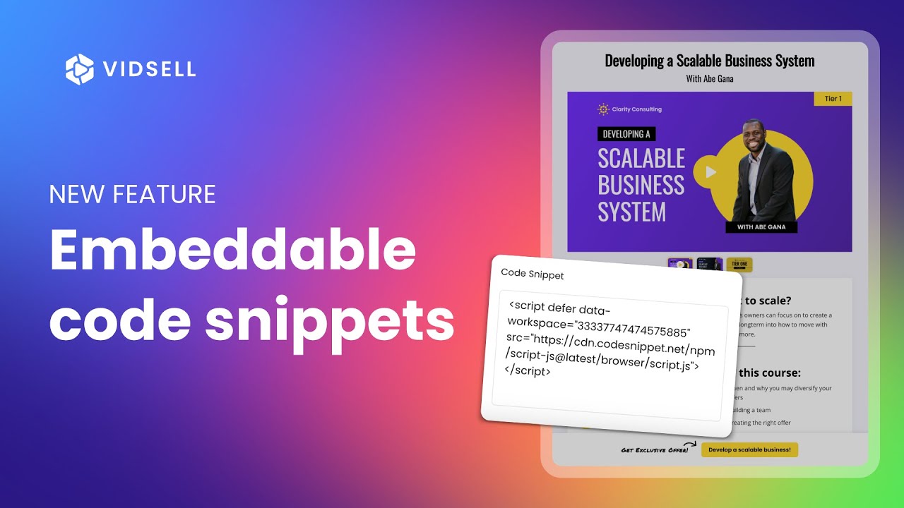 Embed Code Snippets into VidSell - YouTube