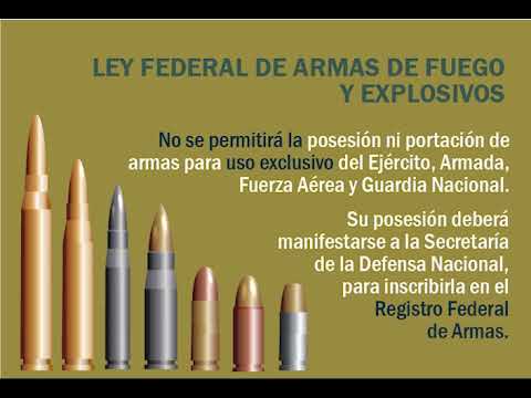 Artículo 10 - YouTube