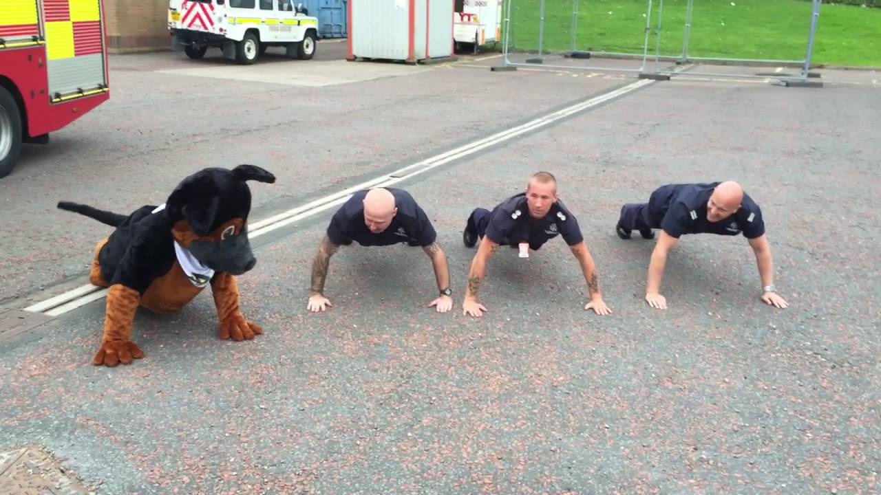 Bob day 3 of 22 (CDDFRS) - YouTube