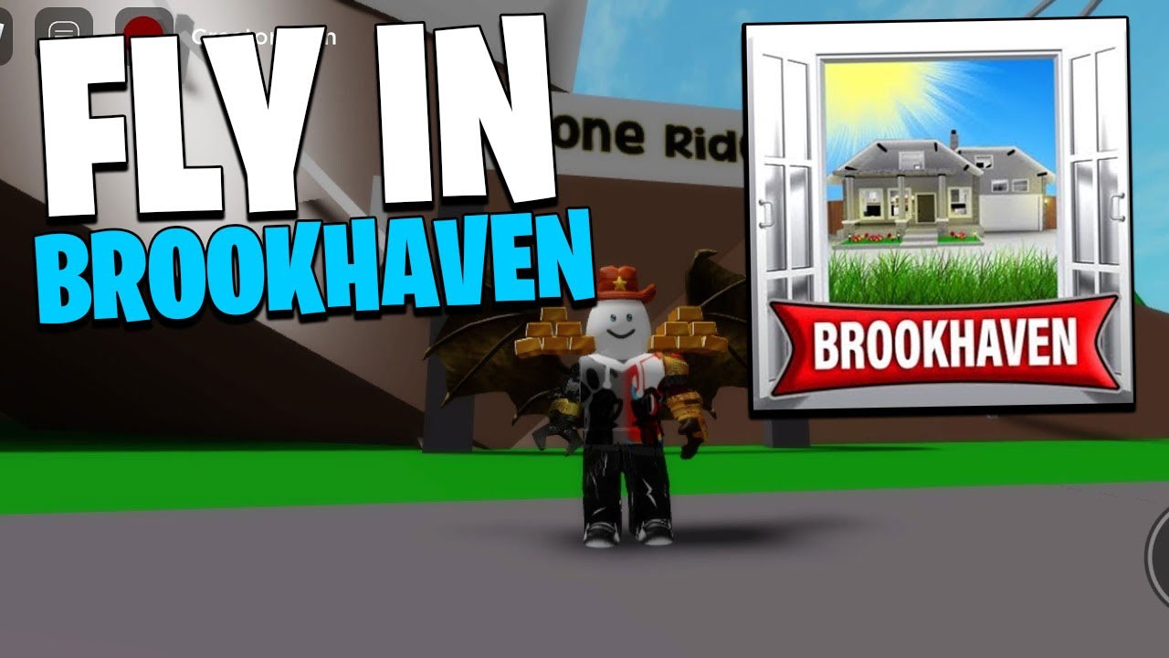 How To FLY IN BROOKHAVEN! INSANE GLITCH! - YouTube