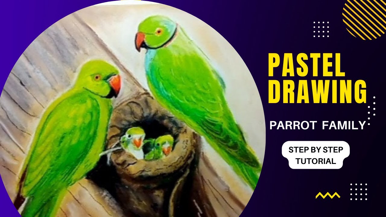 Easy Soft Pastels Drawing for beginners/ Indian ringneck parrot ...