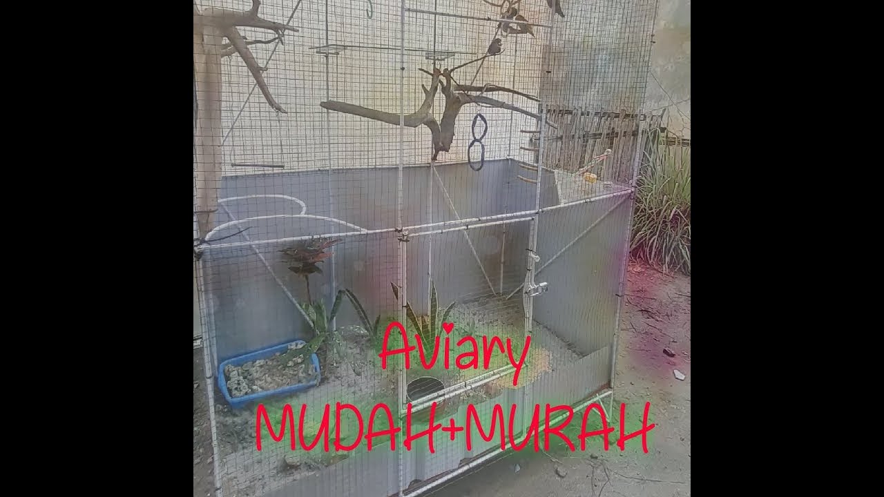 kandang aviary burung lovebird indonesia - bird house minimalis - YouTube