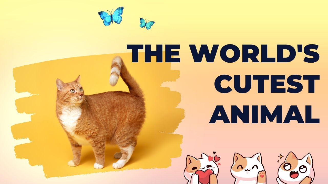 The World's Cutest Animal: Meet the Fluffiest, Most Adorable Creature ...